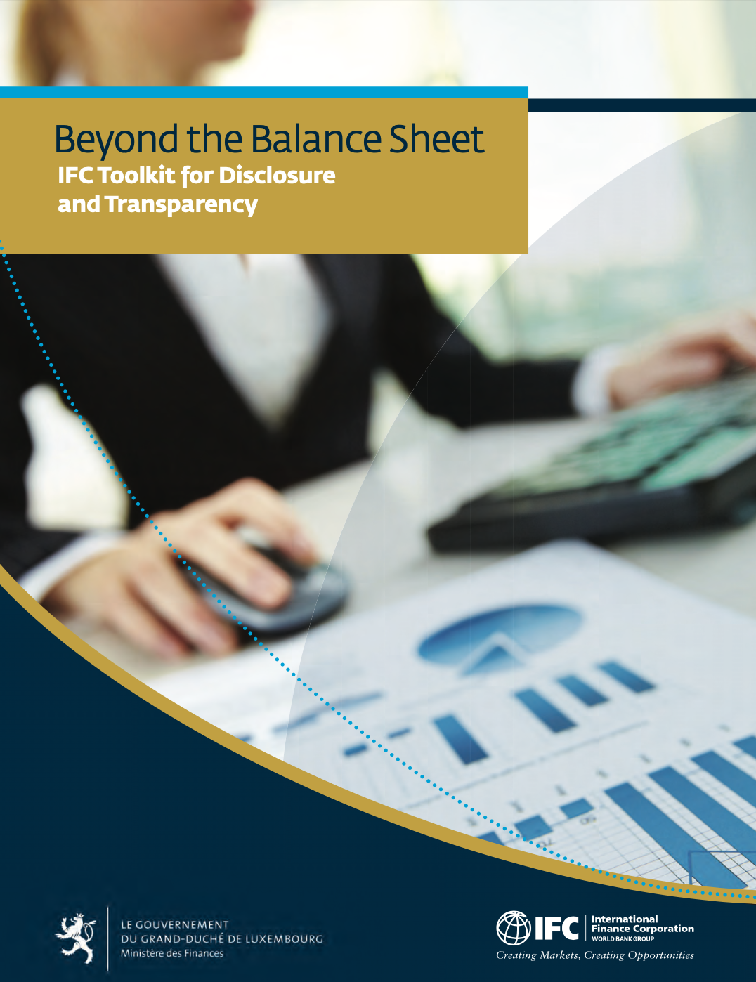 1.1 Strategy Overview | IFC Beyond the Balance Sheet