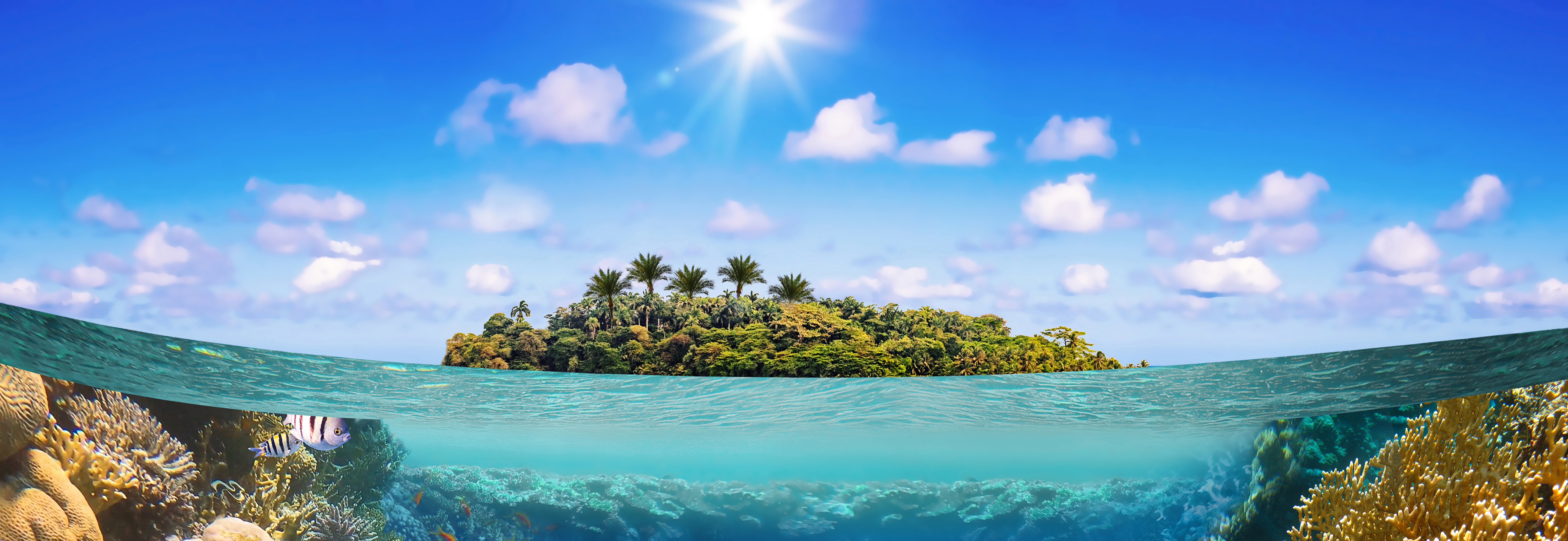 Climate Disclosure | IFC Beyond the Balance Sheet